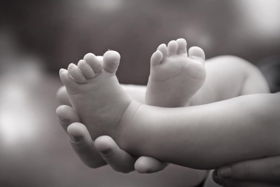 Copile... - Micul Marc